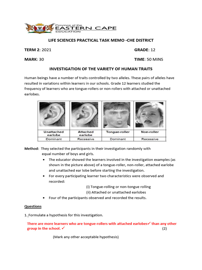 Grade 12 Genetics Practical Task | PDF | Histogram | Biological Evolution