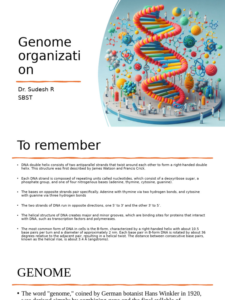 Understanding Genome Structure and Organization | PDF | Histone | Chromatin