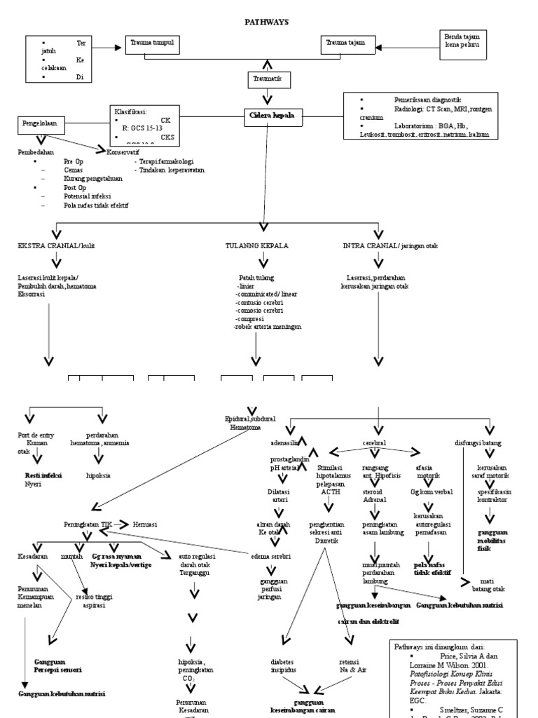 Pathway CKB | PDF | Pengembangan Diri | Kesehatan Holistik
