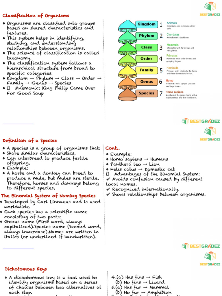 Classification of Organisms | PDF | Species | Biological Classification