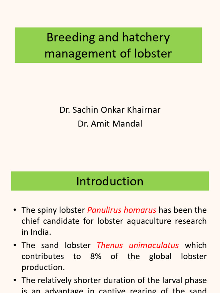 Breeding and Hatchery Management of Lobster | PDF | Fishing Industry ...