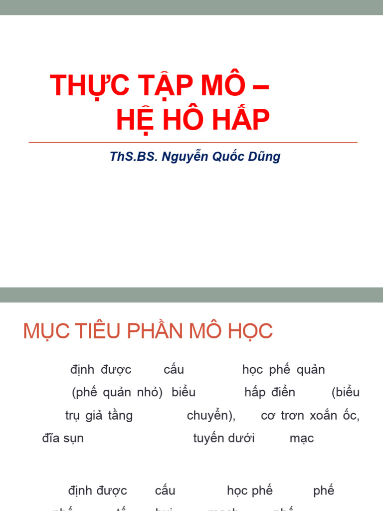 TT Mô - GPB Hệ hô hấp | PDF
