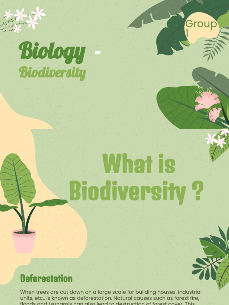 Understanding Biodiversity and Deforestation | PDF