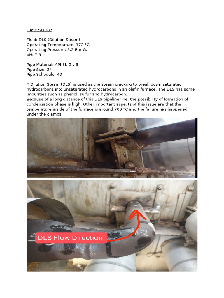 CASE STUDY - Dilution - Steam | PDF