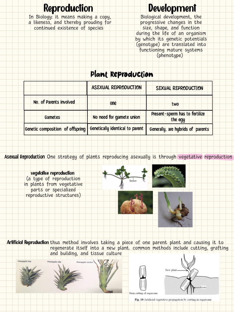 Plant and Animal Reproduction | PDF