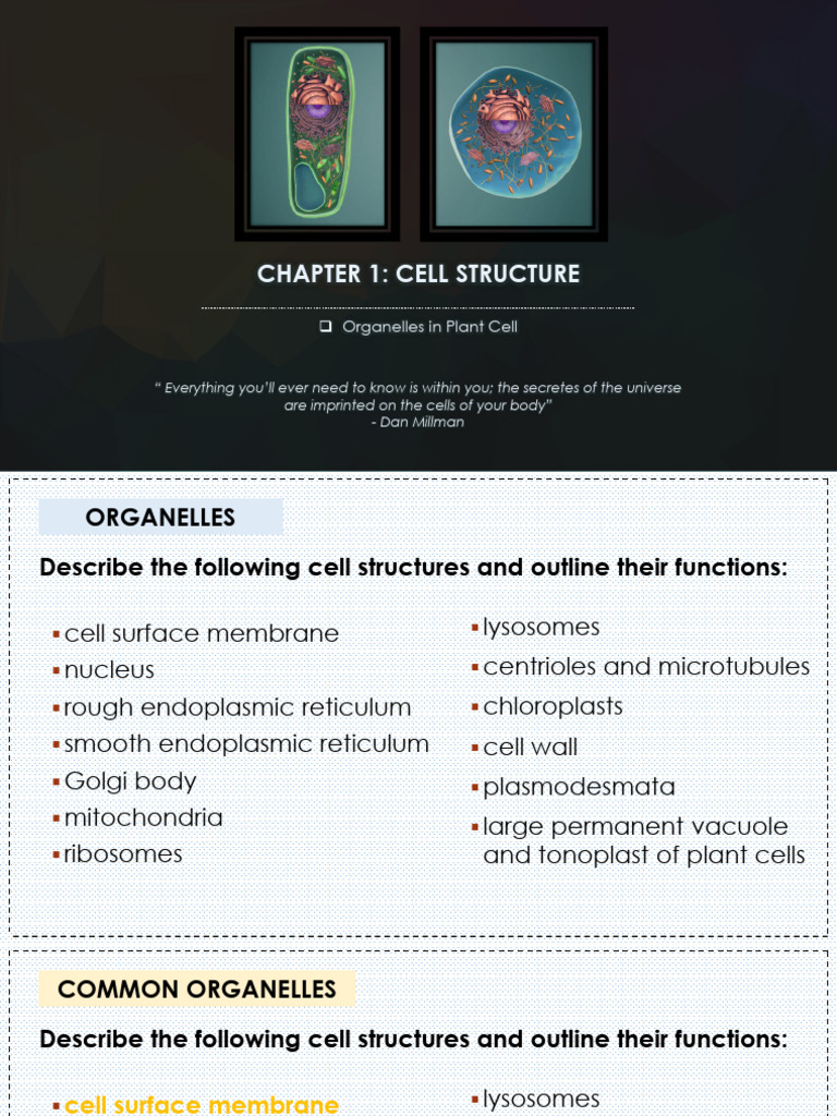 1.5 Plant Cell Organelles | PDF | Cell (Biology) | Vacuole