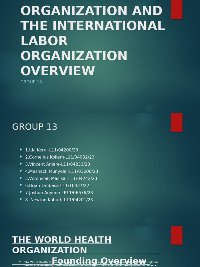 UN Human Rights System | PDF | International Labour Organization ...