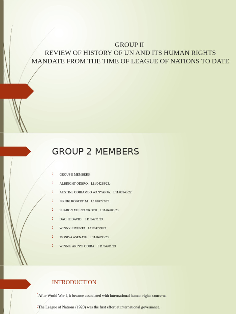 UN Human Rights System | PDF | Human Rights | United Nations