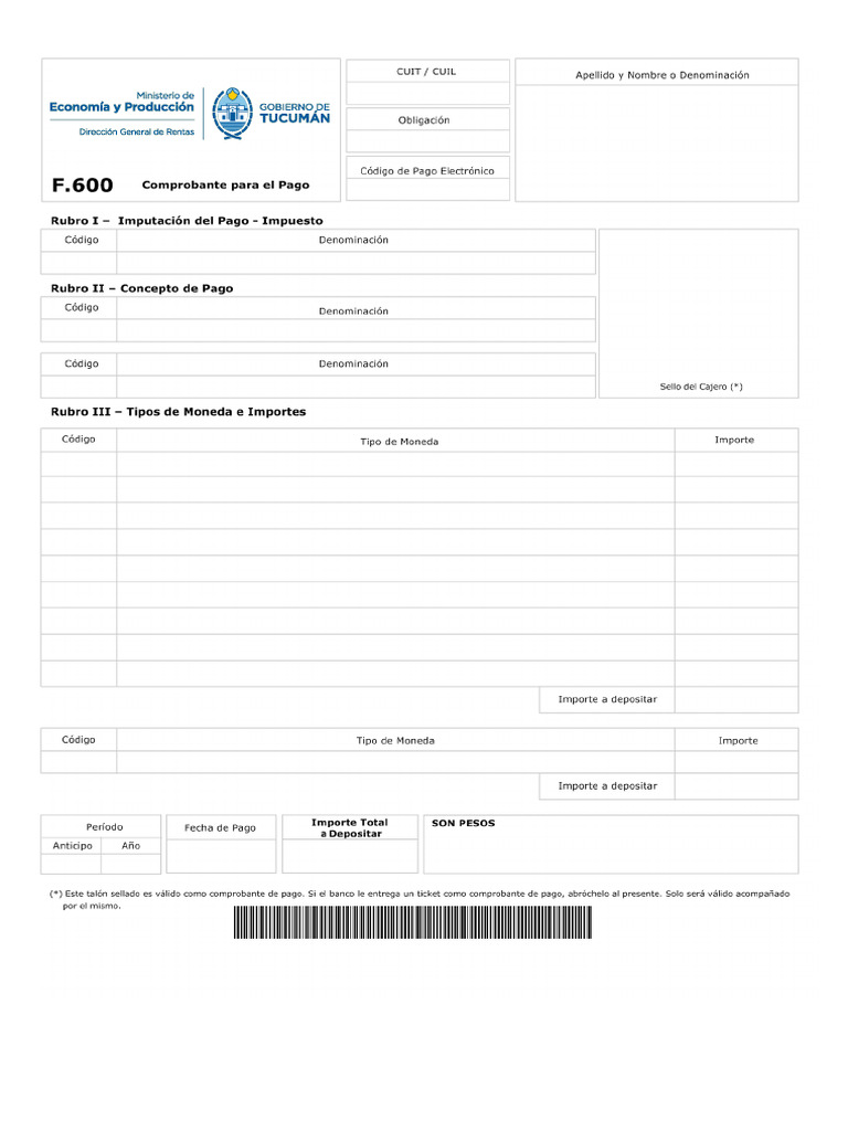 Volante de Pago IIBB 01-2025 Ruiz Borsini Fernando | PDF