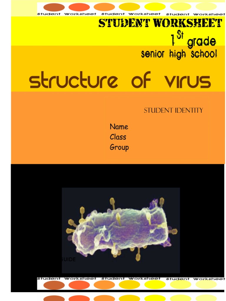 Virus Worksheet | PDF | Prokaryote | Cell (Biology)