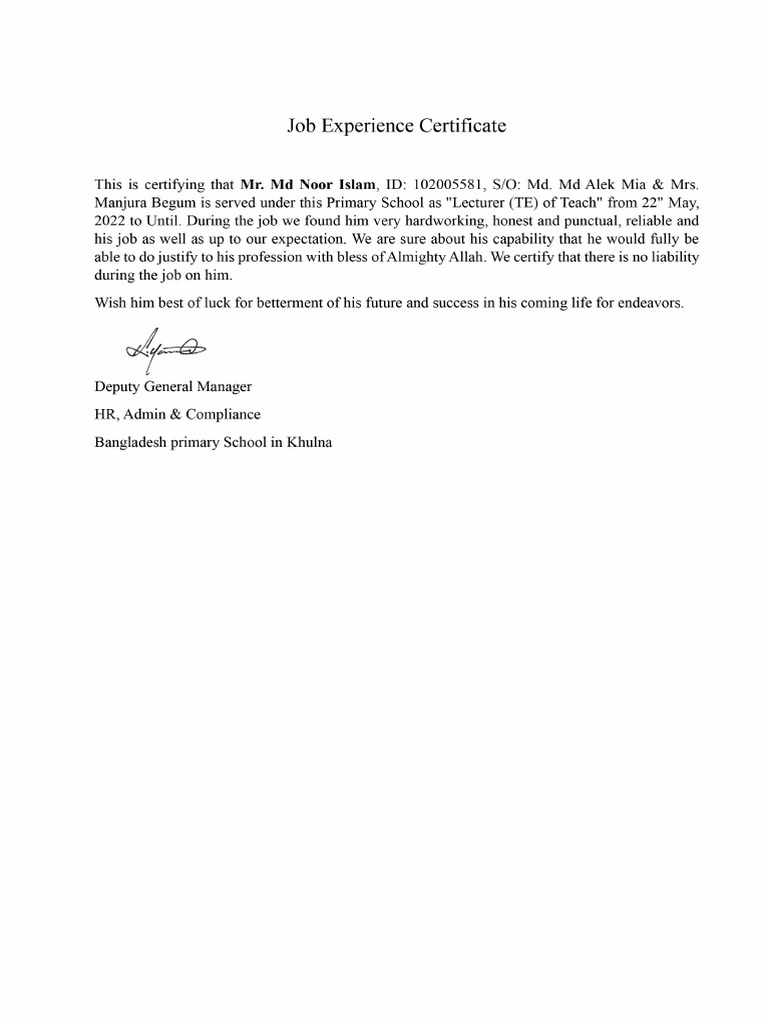 Job Experience Certificate | PDF