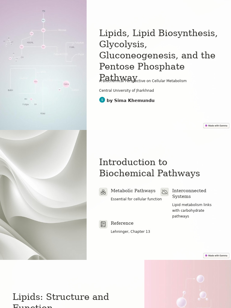 Lipids Lipid Biosynthesis Glycolysis Gluconeogenesis and The Pentose ...