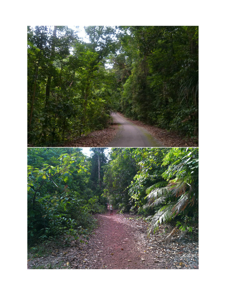 Mountain Liminal Spaces | PDF