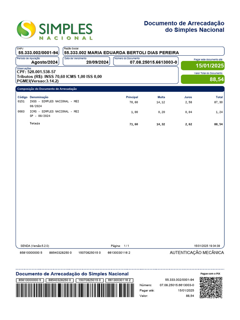 Das 55333002000194 20240801 20250115193436 | PDF