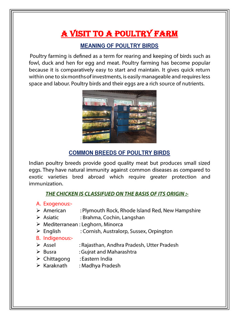 A Visit To A Poultry Farm PDF | PDF