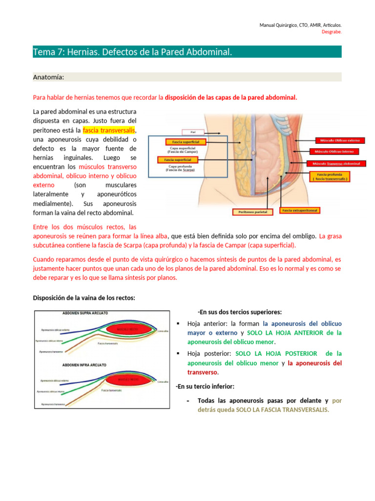 Tema 8. Hernias. | PDF | Abdomen
