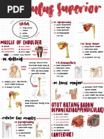 Aaos Rom Values | PDF | Anatomical Terms Of Motion | Limbs (Anatomy)
