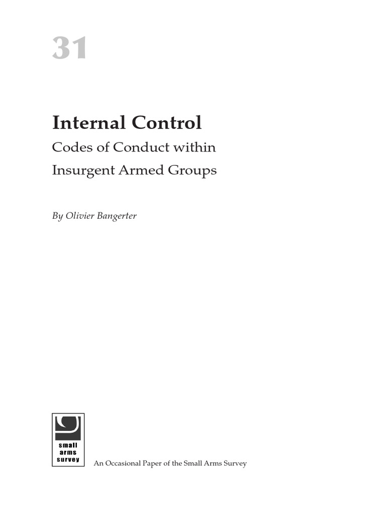 SAS OP31 Internal Control | PDF