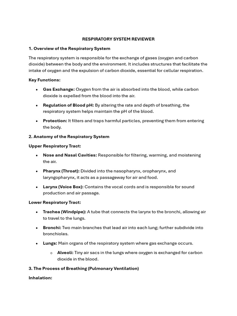 Reviewer in Respiratory System | PDF | Respiratory Tract | Respiratory ...