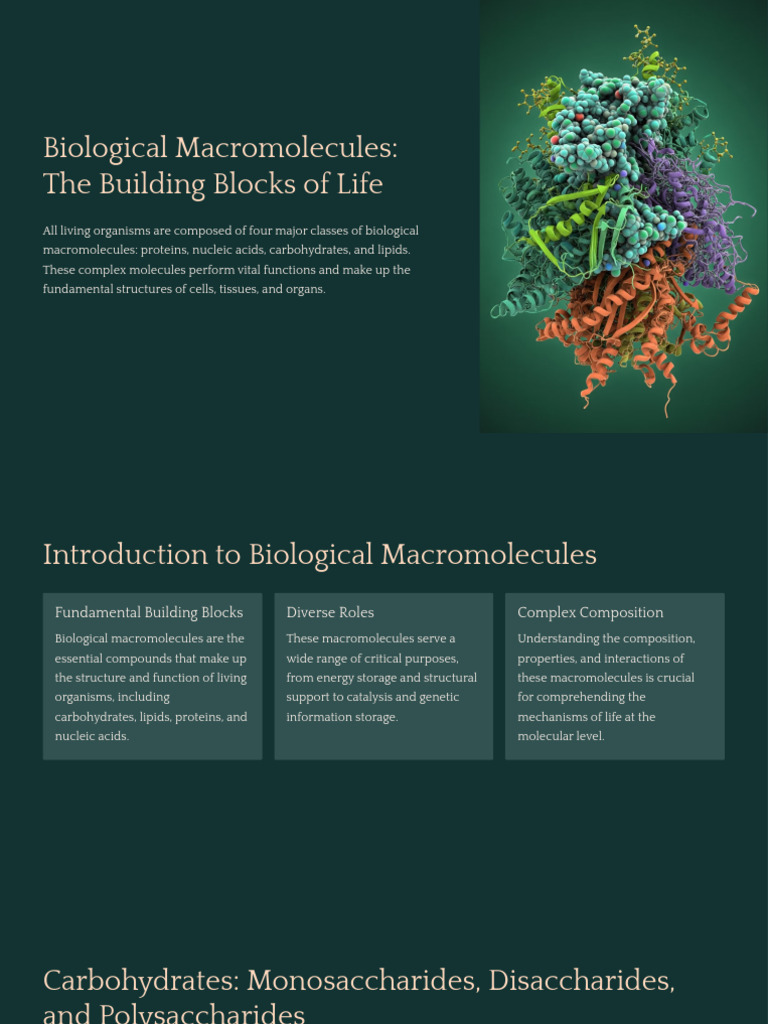 Biological Macromolecules The Building Blocks of Life | PDF | Nucleic ...