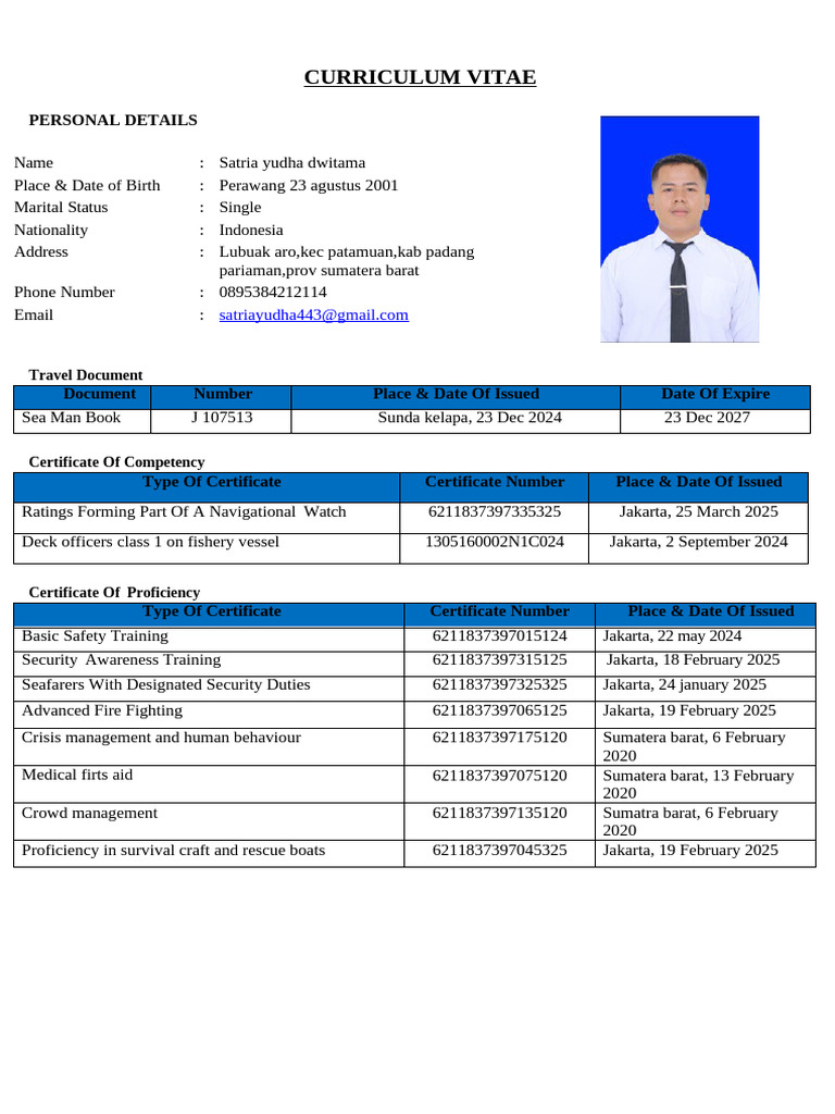 cv satria yudha dwitama | PDF