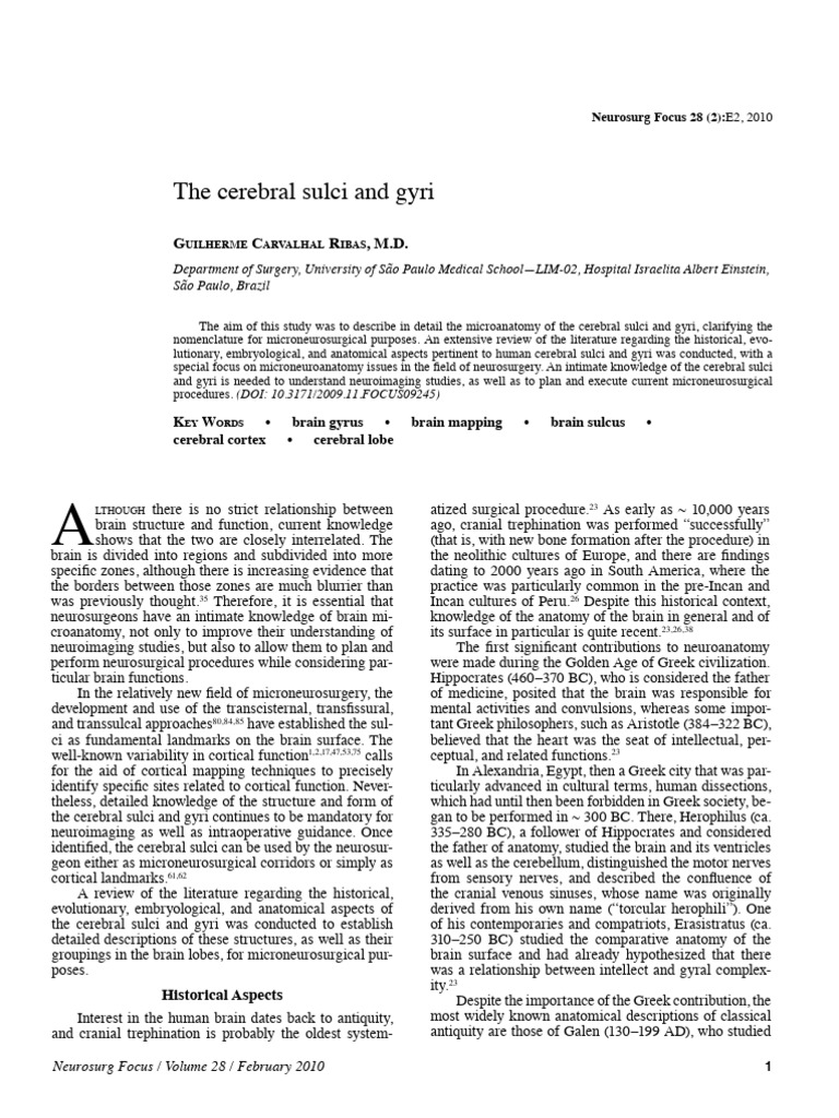 The Cerebral Sulci and Gyri | PDF | Cerebral Cortex | Frontal Lobe