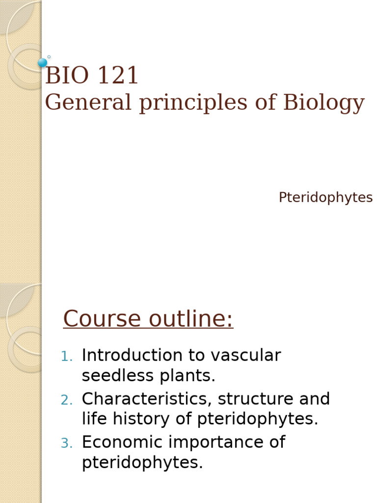 Pteridophytes: Characteristics and Importance | PDF | Fern | Reproduction