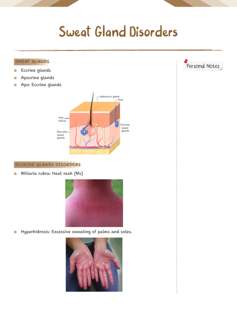 Sweat Gland Disorders Overview | PDF