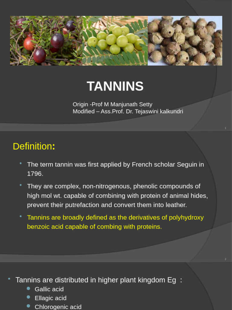 2.tannins IVBPh 2024 | PDF | Polyphenol | Phenolic Content In Wine
