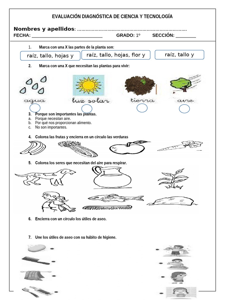 Evaluación Diagnostica de Ciencia y Tecnologia | PDF