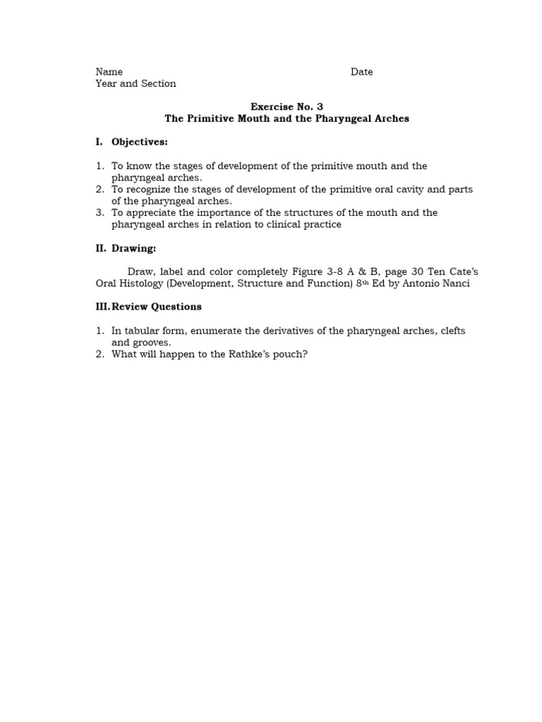 Development of the Primitive Mouth | PDF