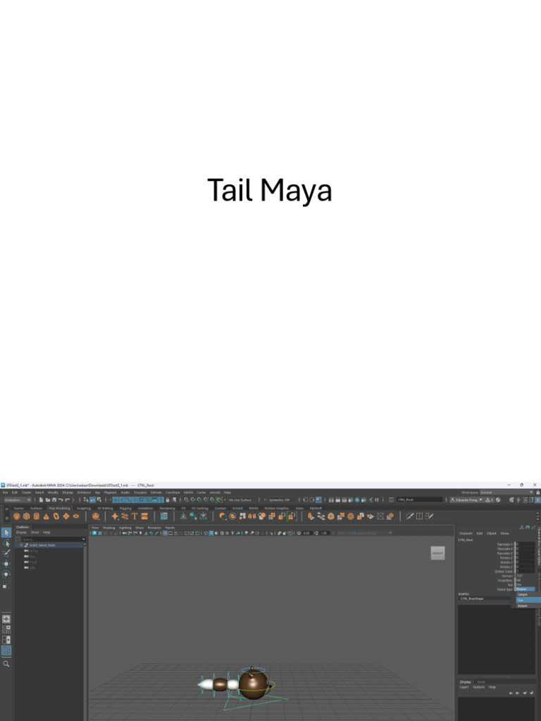 Tail Maya | PDF