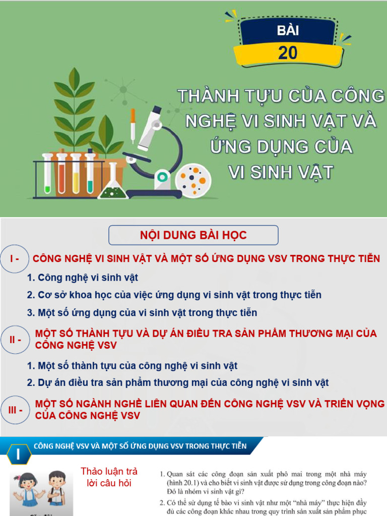 Bai 20 Bai Giang Powerpoint Mon Sinh Hoc 10 Canh Dieu 62114 | PDF