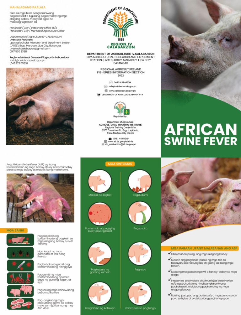 African Swine Fever | PDF
