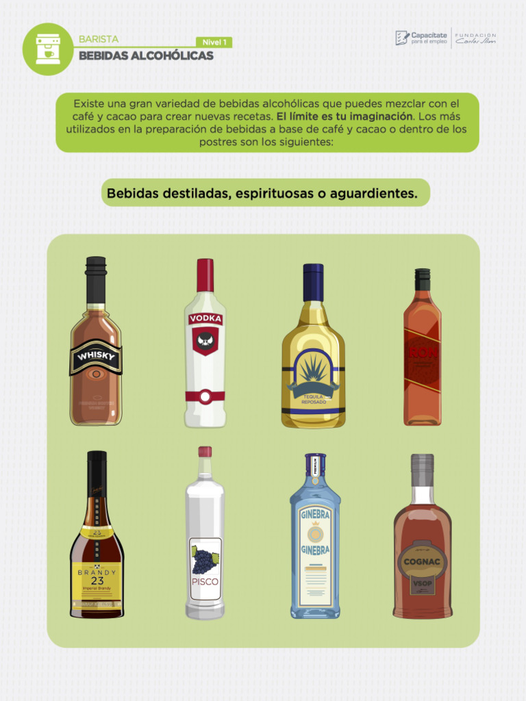 Bebidas Alcohólicas | PDF