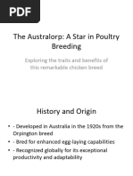 Types of Cercariae with Examples | PDF | Zoology