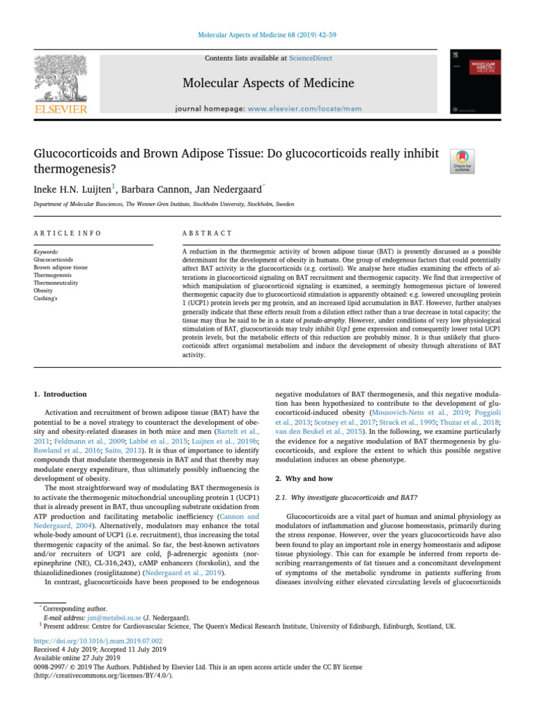 Glucocorticoids-and-Brown-Adipose-Tissue-Do-glucocorticoids-really-inhibit-thermogenesis | PDF ...