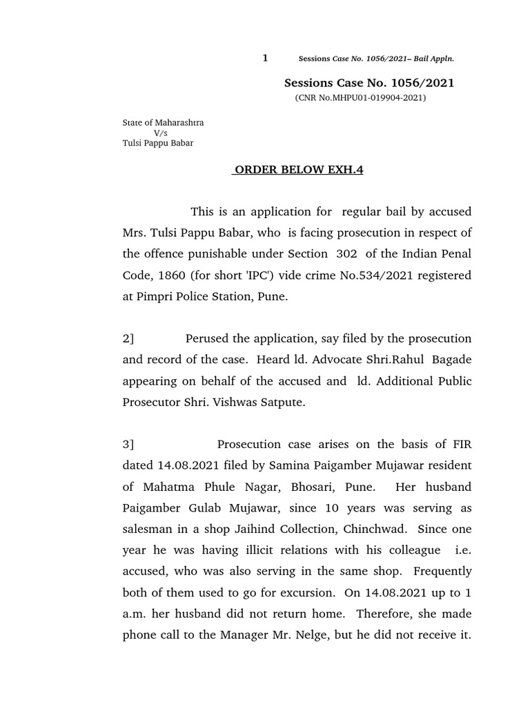 Display - PDF - 2025-04-17T211708.890 | PDF | Prosecutor | Bail