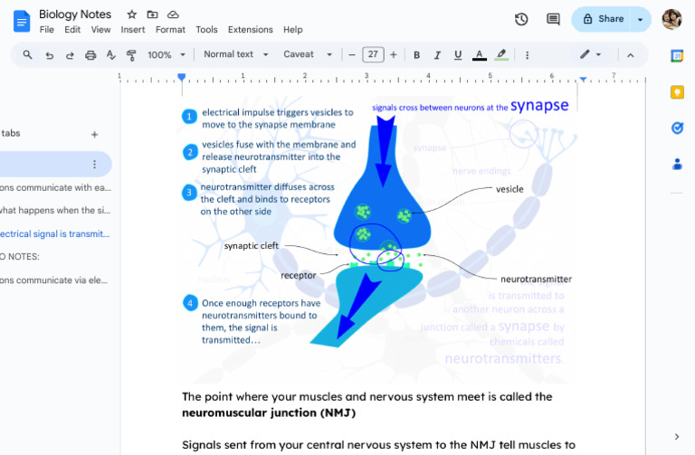 Biology Notes | PDF