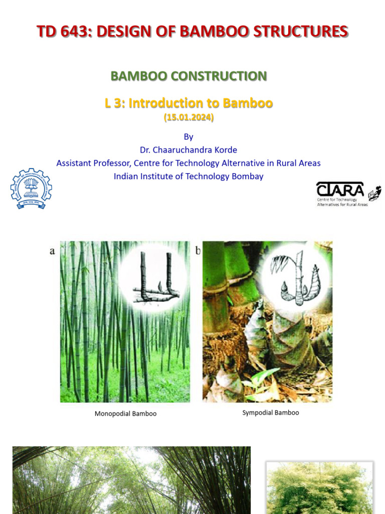 Bamboo Structures: Design and Applications | PDF | Bamboo | Botany