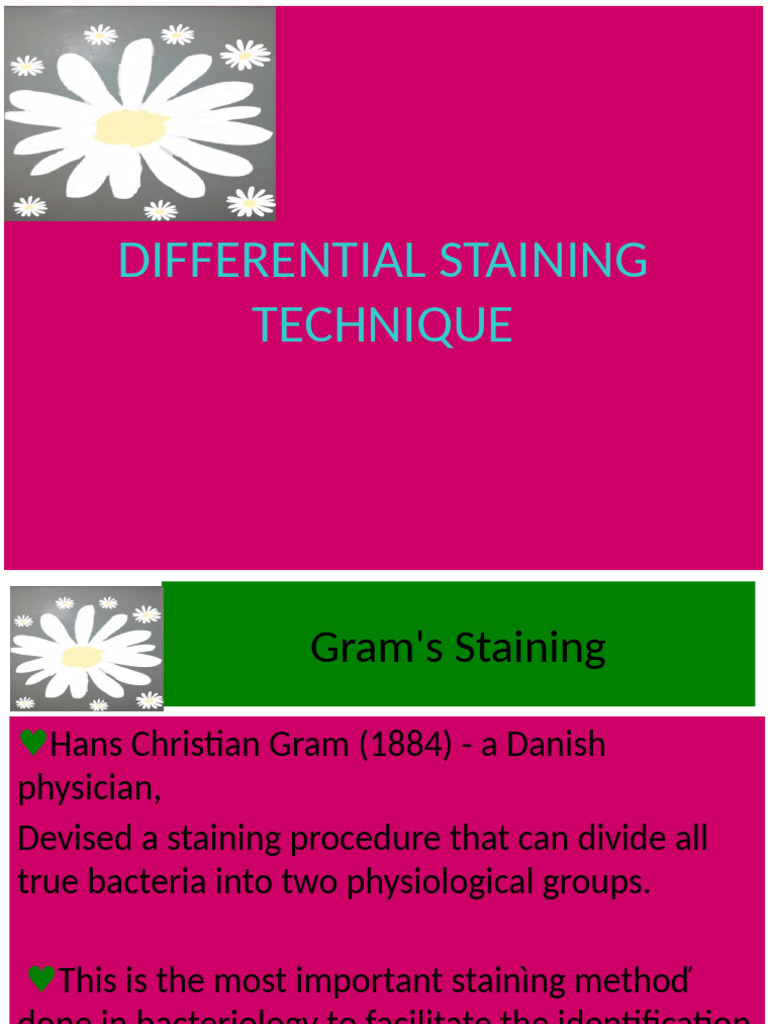 Differential Staining Technique | PDF | Staining | Gram Positive Bacteria