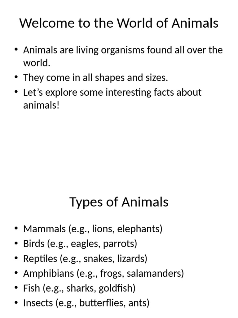 Animal Presentation | PDF