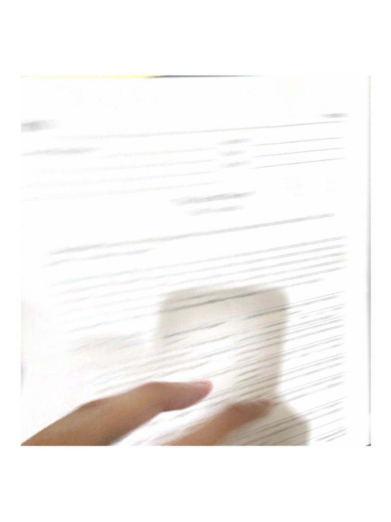 Group Members | PDF