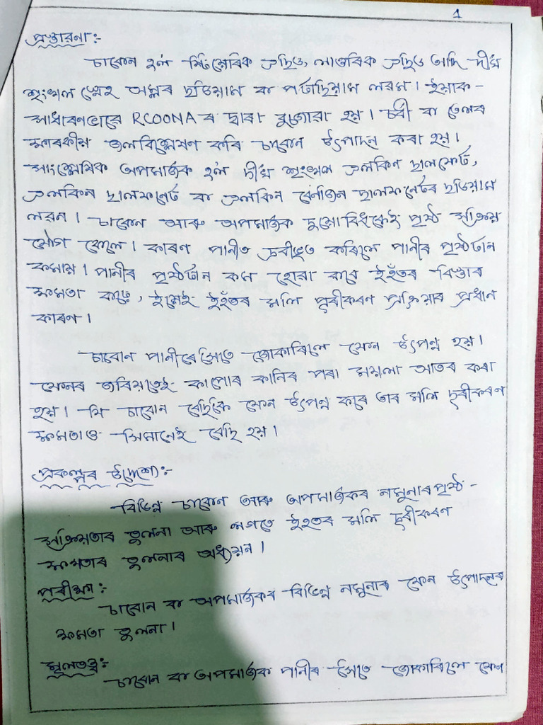 Assamese medium project 1 | PDF