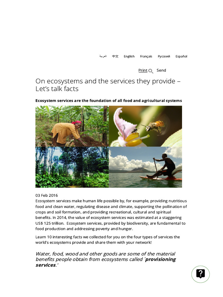 Ecosystem Services: Key Facts and Benefits | PDF | Biodiversity | Ecosystem