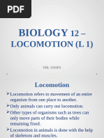 S.3 Bio Notes Locomotion | PDF | Vertebra | Vertebral Column