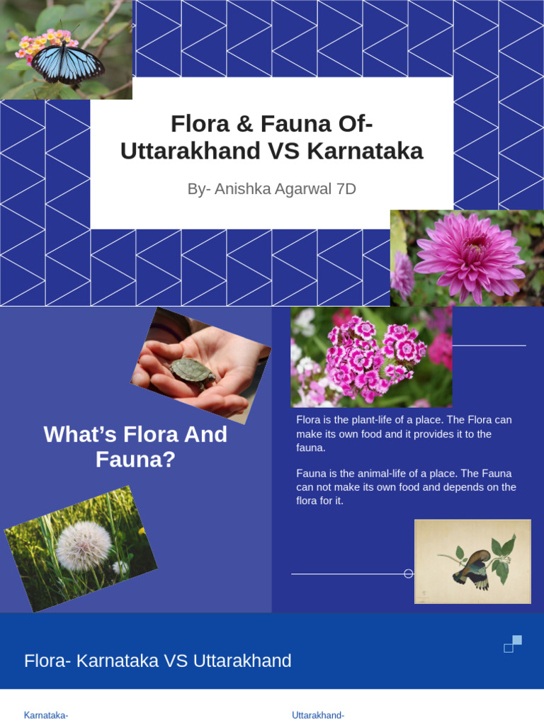 Karnataka vs Uttarakhand Flora & Fauna | PDF