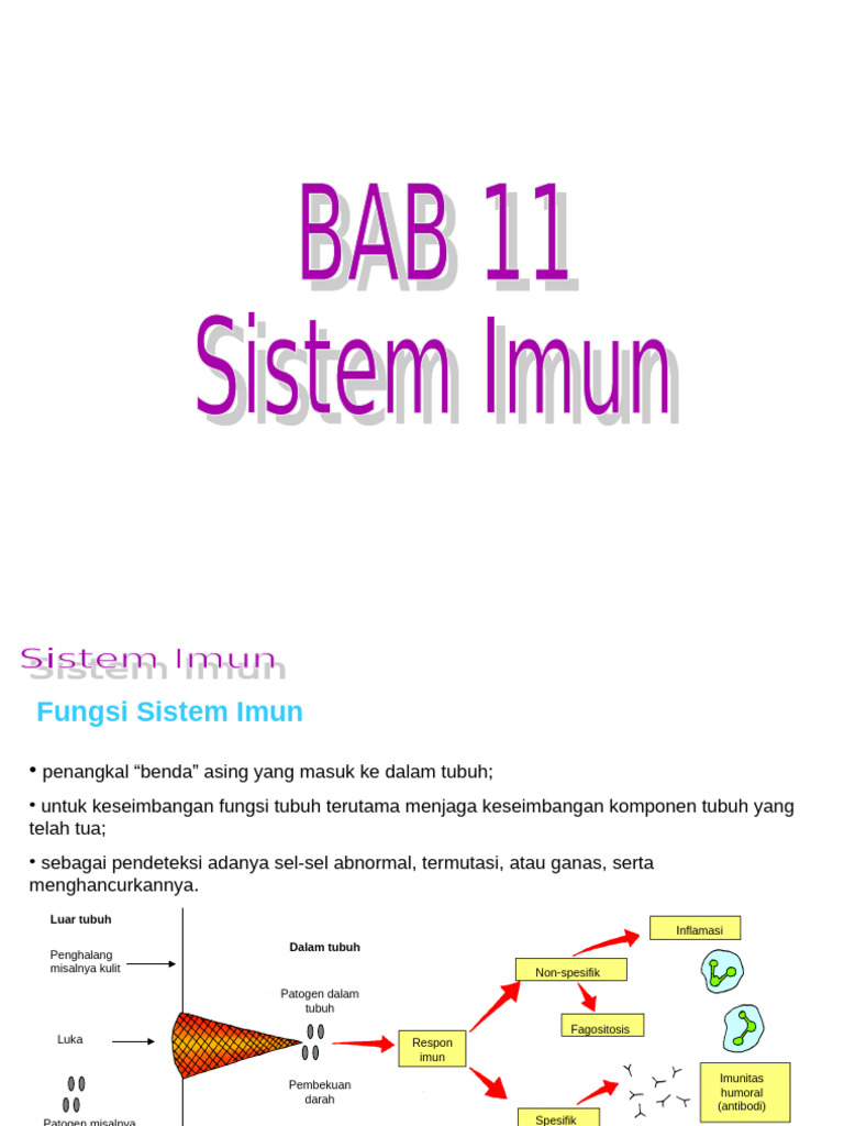 Sistem Imun | PDF