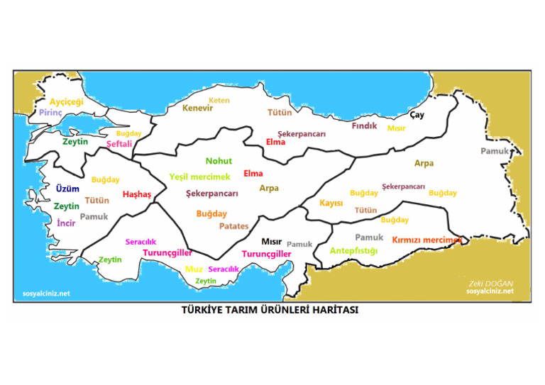 Turkiye Tarim Urunleri Haritasi 1 | PDF