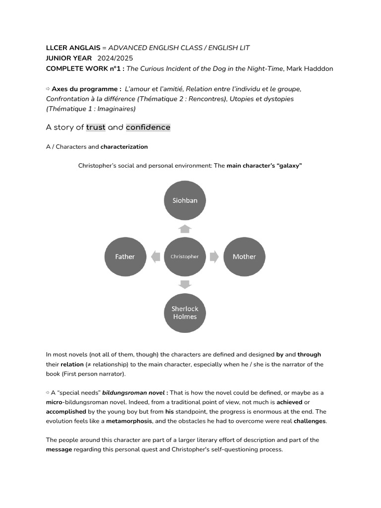Curious Incident Summary | PDF | Knowledge